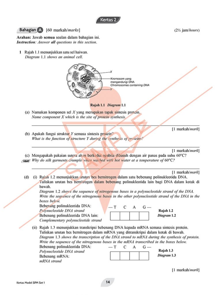 Kertas Model Top Score Biologi SPM – EPH