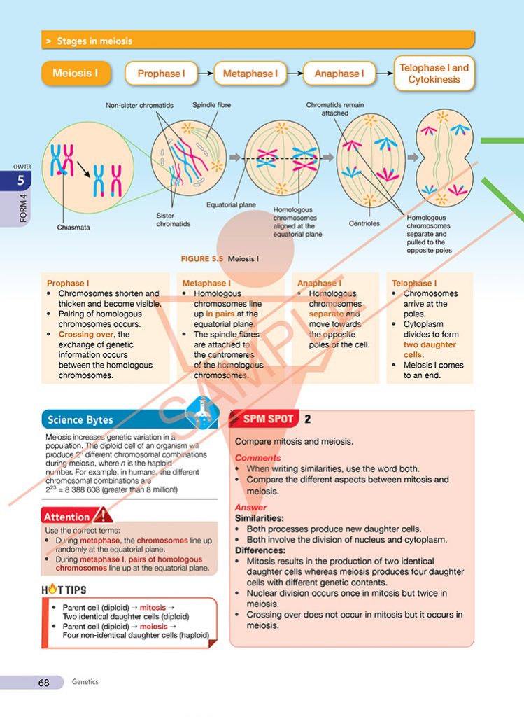 Success Plus Science SPM – EPH